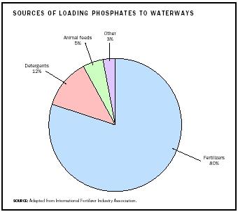 Water Pollution: A Rising World Problem: Water Pollution Q & A