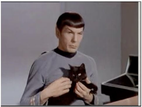 Pleasure for the Empire: August 2010