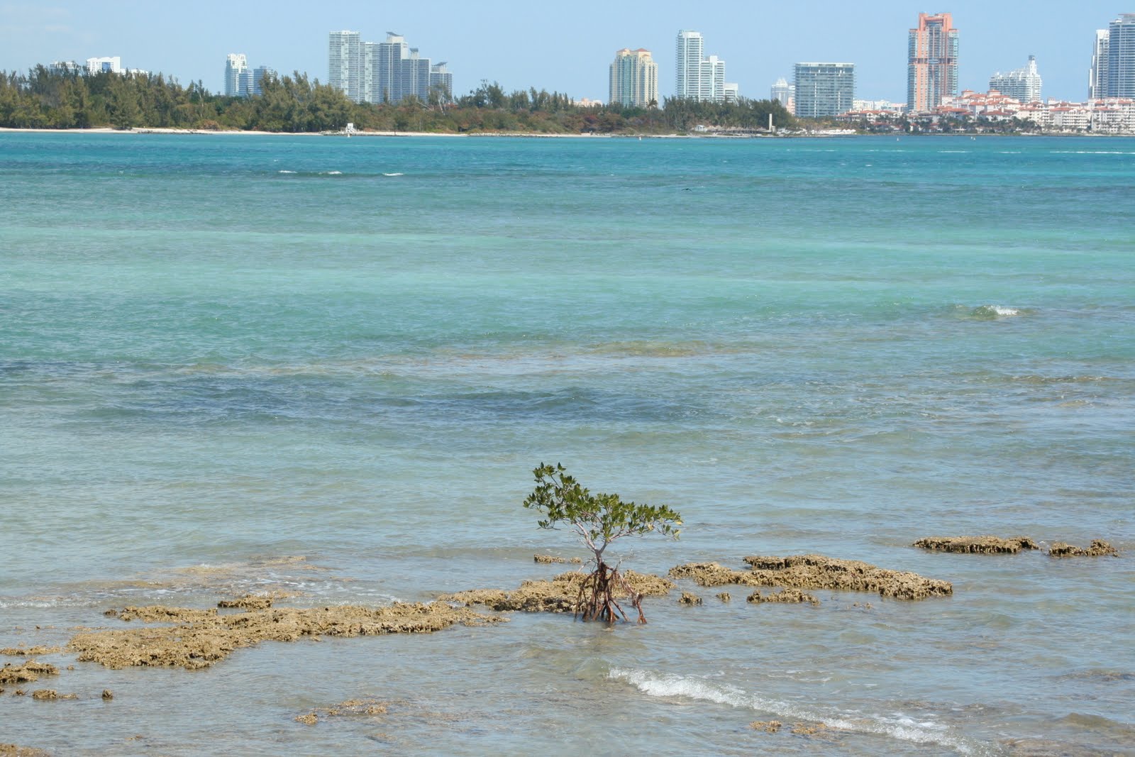 View from Virginia Key: Miami Kayak Club July 3 Paddle From Virginia ...