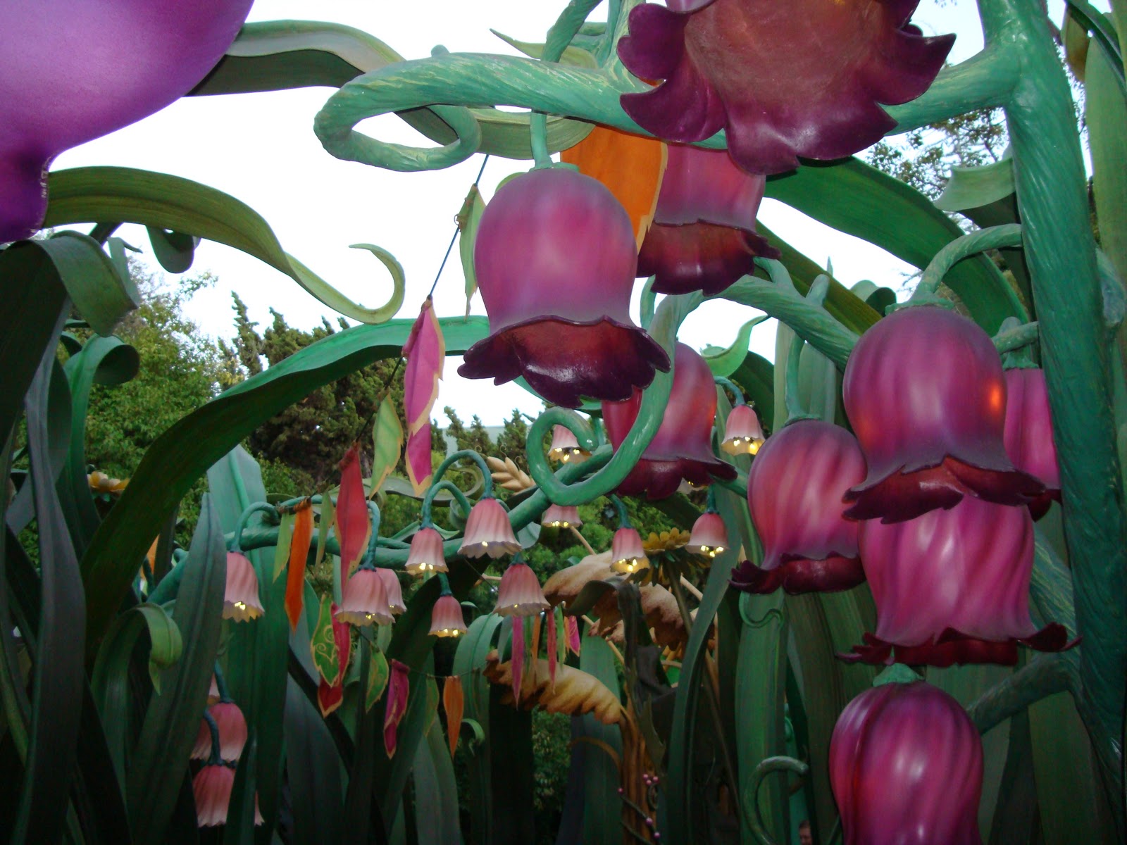 haleyv6: TINKERBELL AND FAIRIES