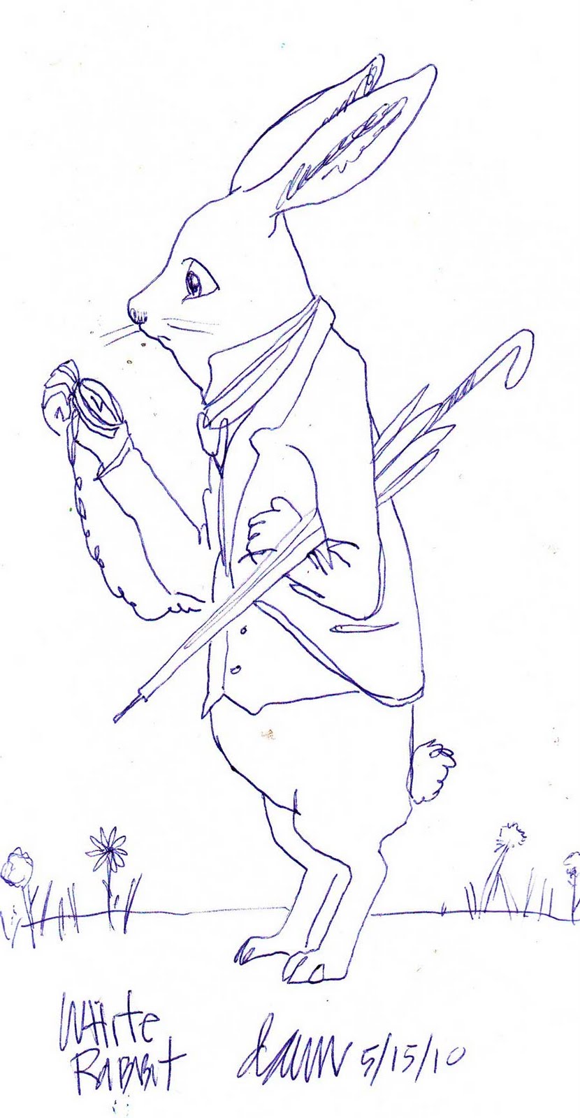 Dawn Schreiner Illustration