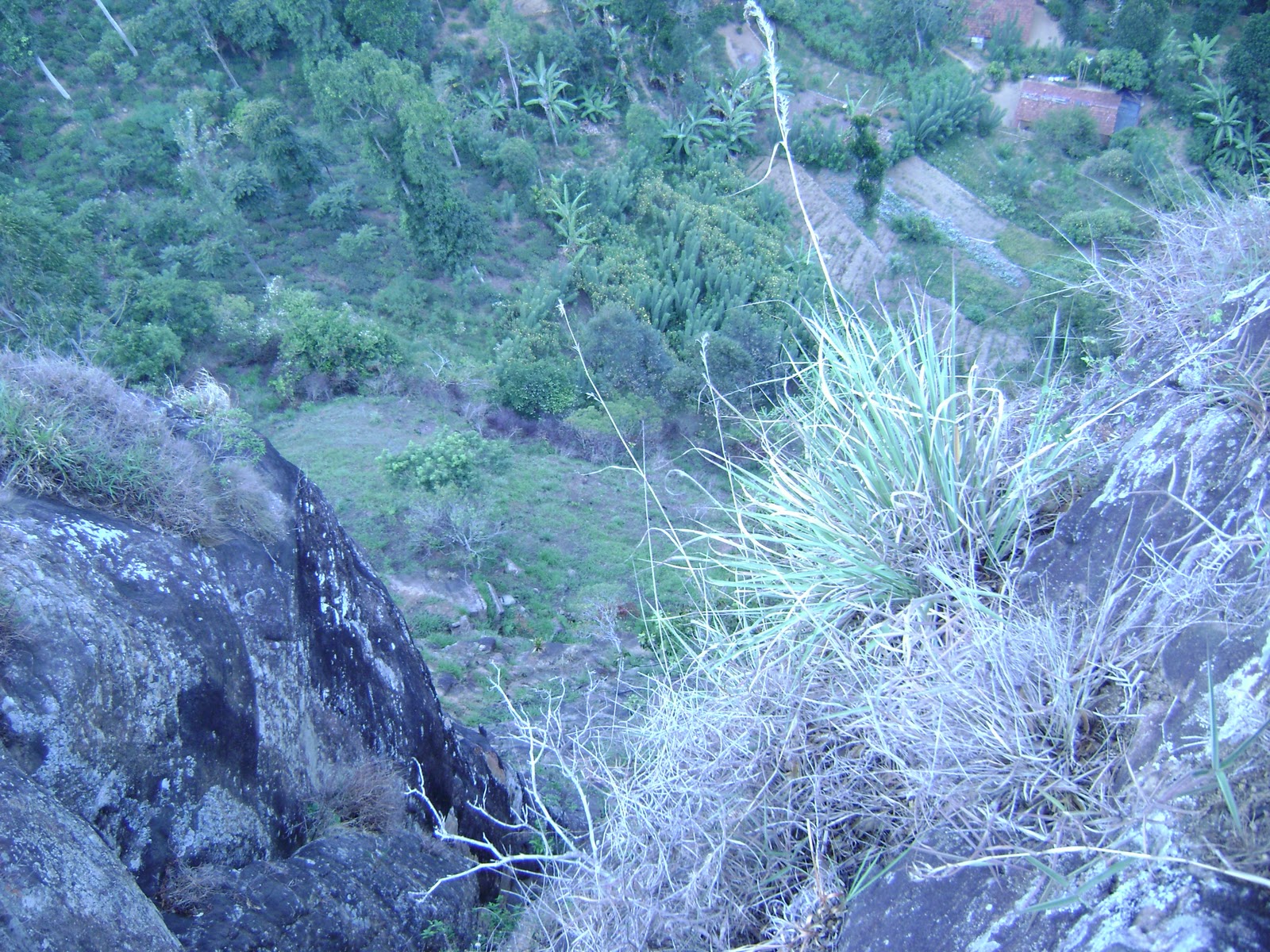 Nature