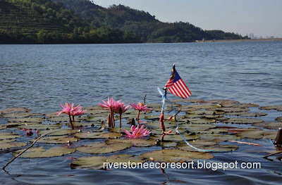 Riverstone Eco Resort: Empangan Batu