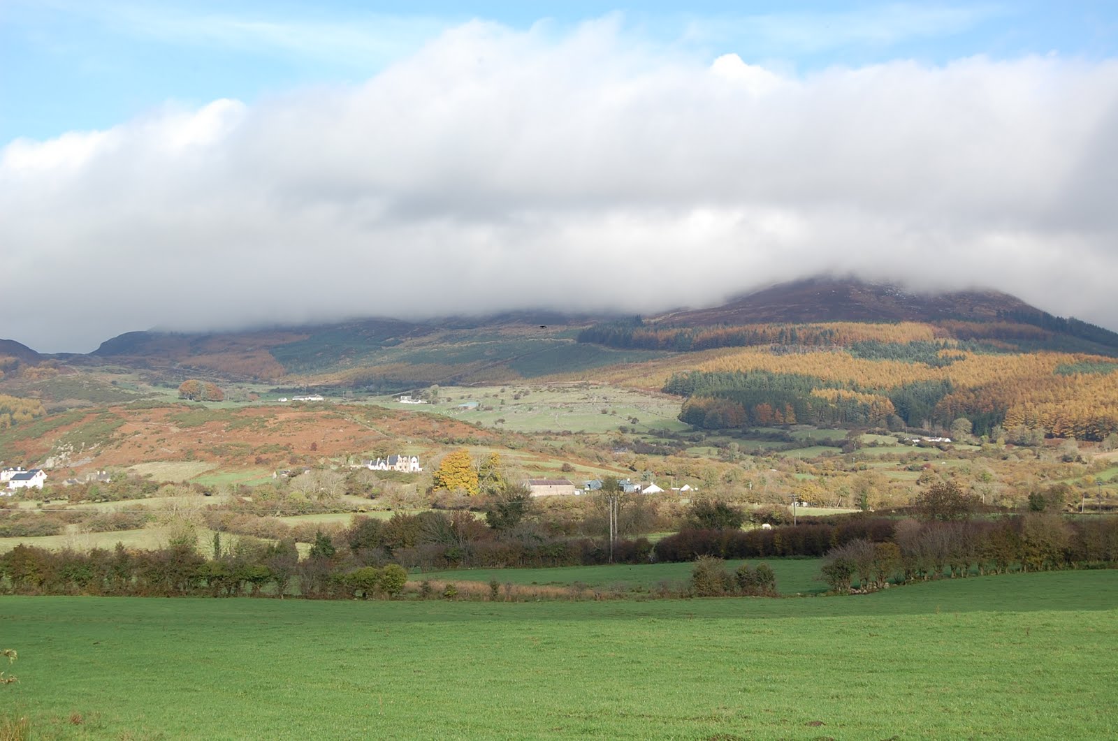 Paraglide: Slieve Gullion Forest Park
