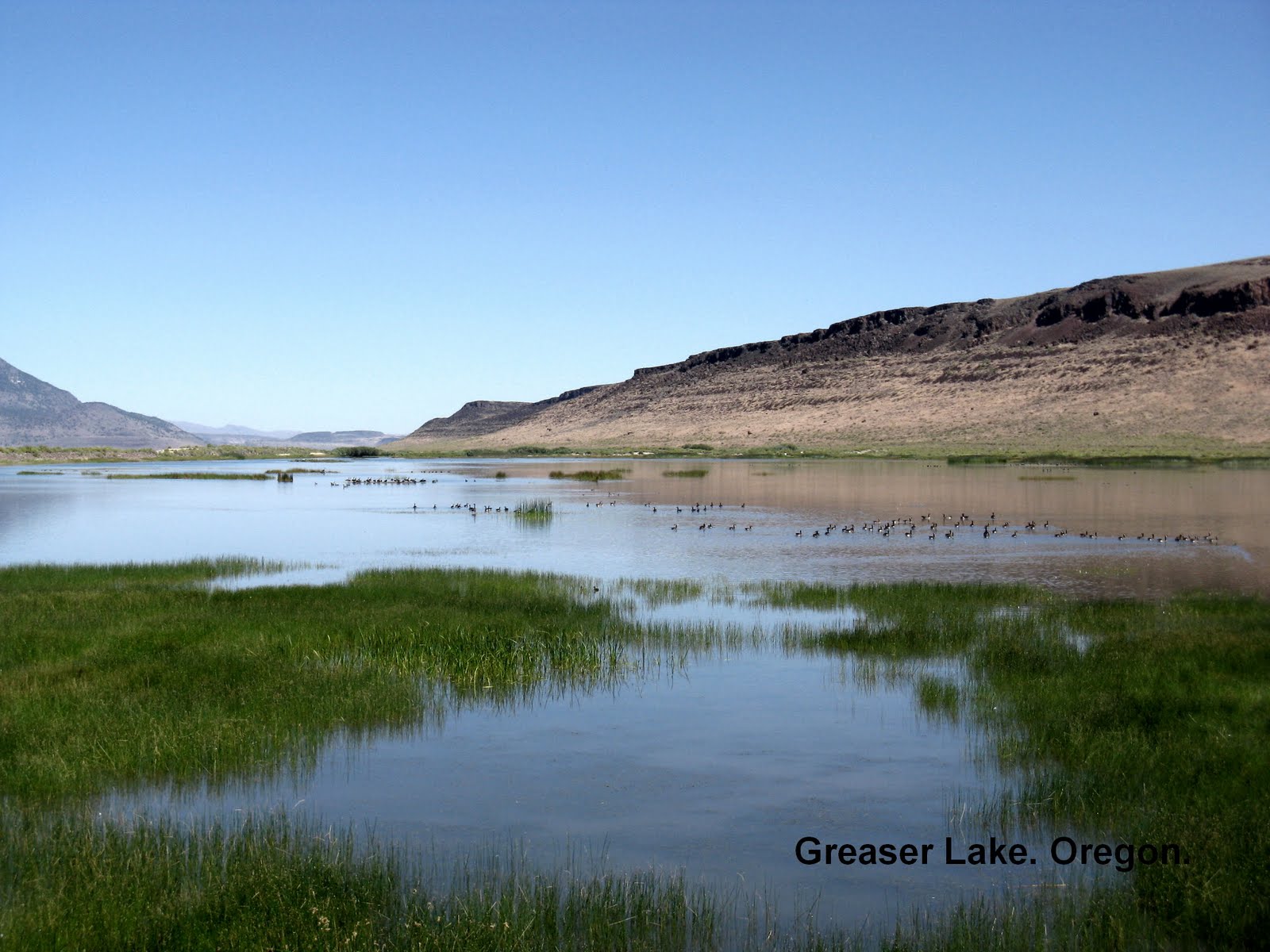 The travels of Ed, Carol and Gopher the dog.: Oregon Week #1 & Crater Lake