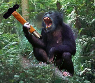 Spiiderweb™: Ancient Chimps May Have Used Hammers