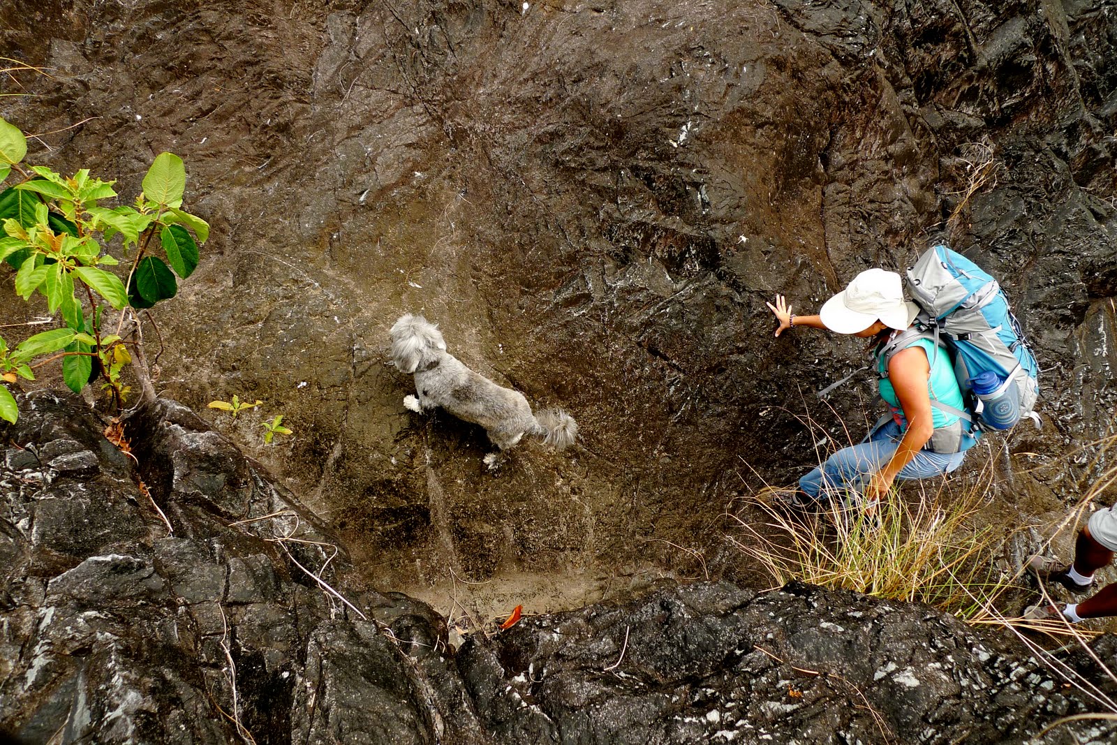 twinpopsis: bagsit river trek