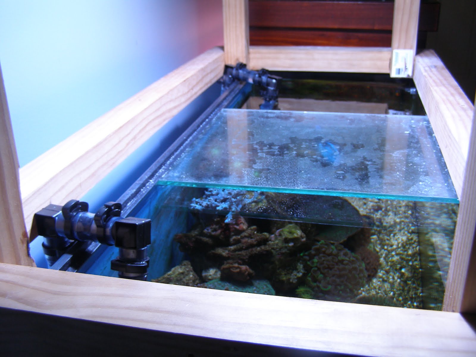 fishy business: SCWD - Switching current water director A.K.A wavemaker ...