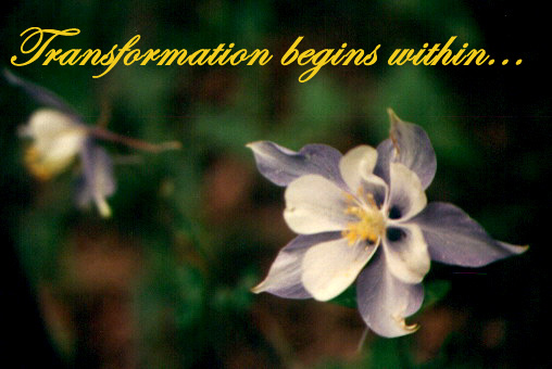 Insight Incites Change: 10/24/10 - 10/31/10