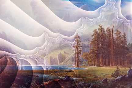 Insight Incites Change: 12/26/10 - 1/2/11