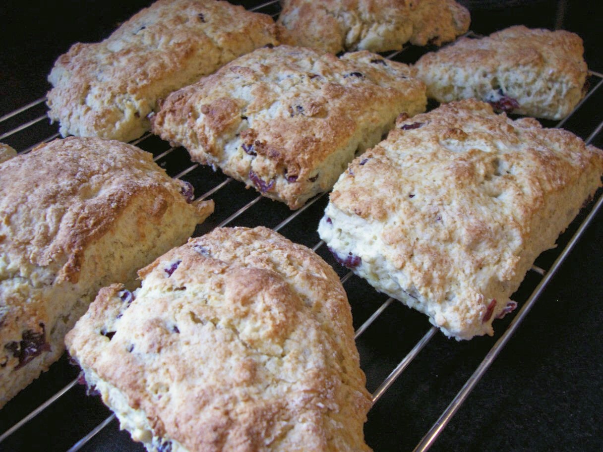 tray bella: rustic country scones