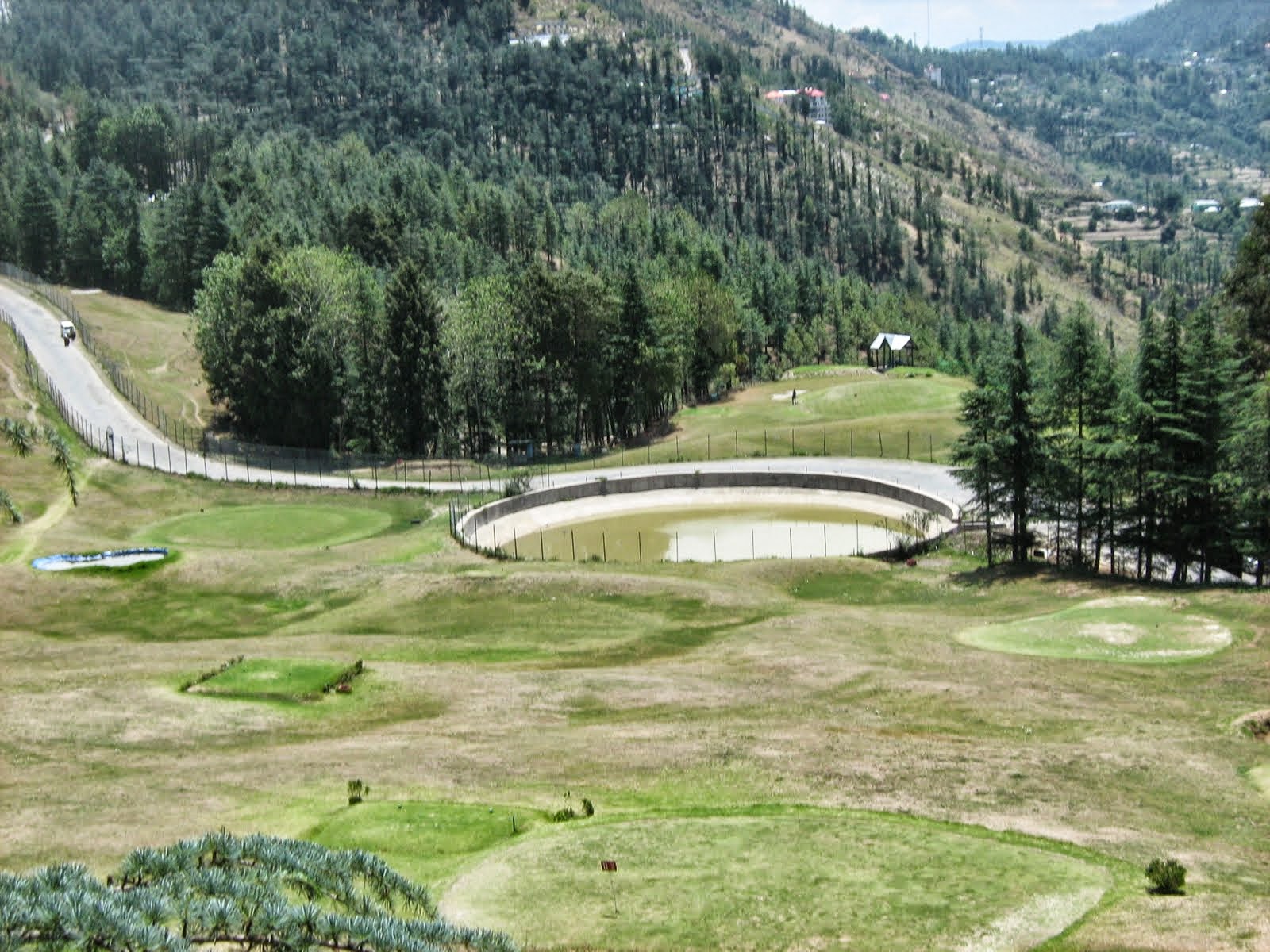 Julia's Blog: Naldehra - Shimla's Emerald beauty