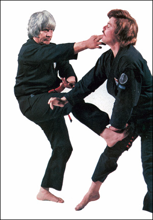 ROCK AND BOX: KENPO