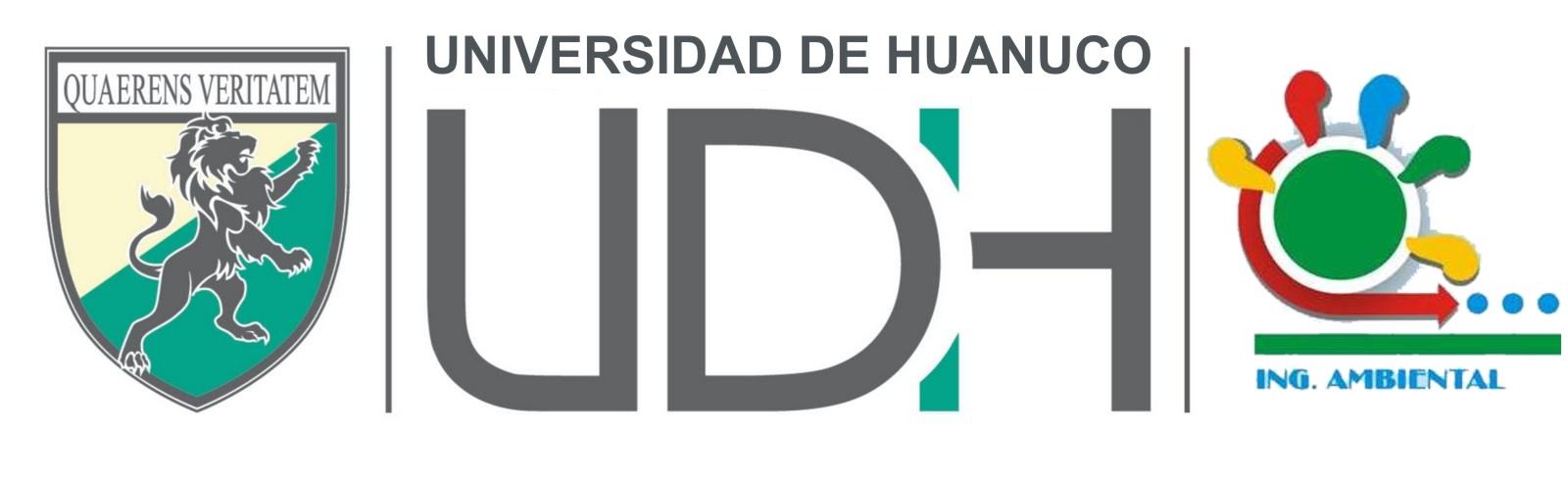 UDH - Ingenieria Ambiental 2010 -2