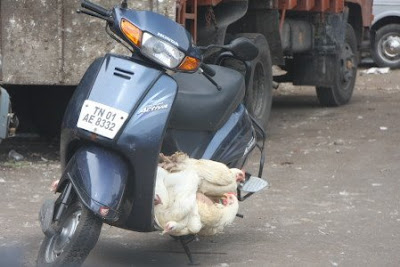 Our Time in India: The chicken bike and the rickshaw horn...