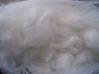Bloomingdale Farm Natural Fiber and Yarn: Angora rabbit spinning fiber ...