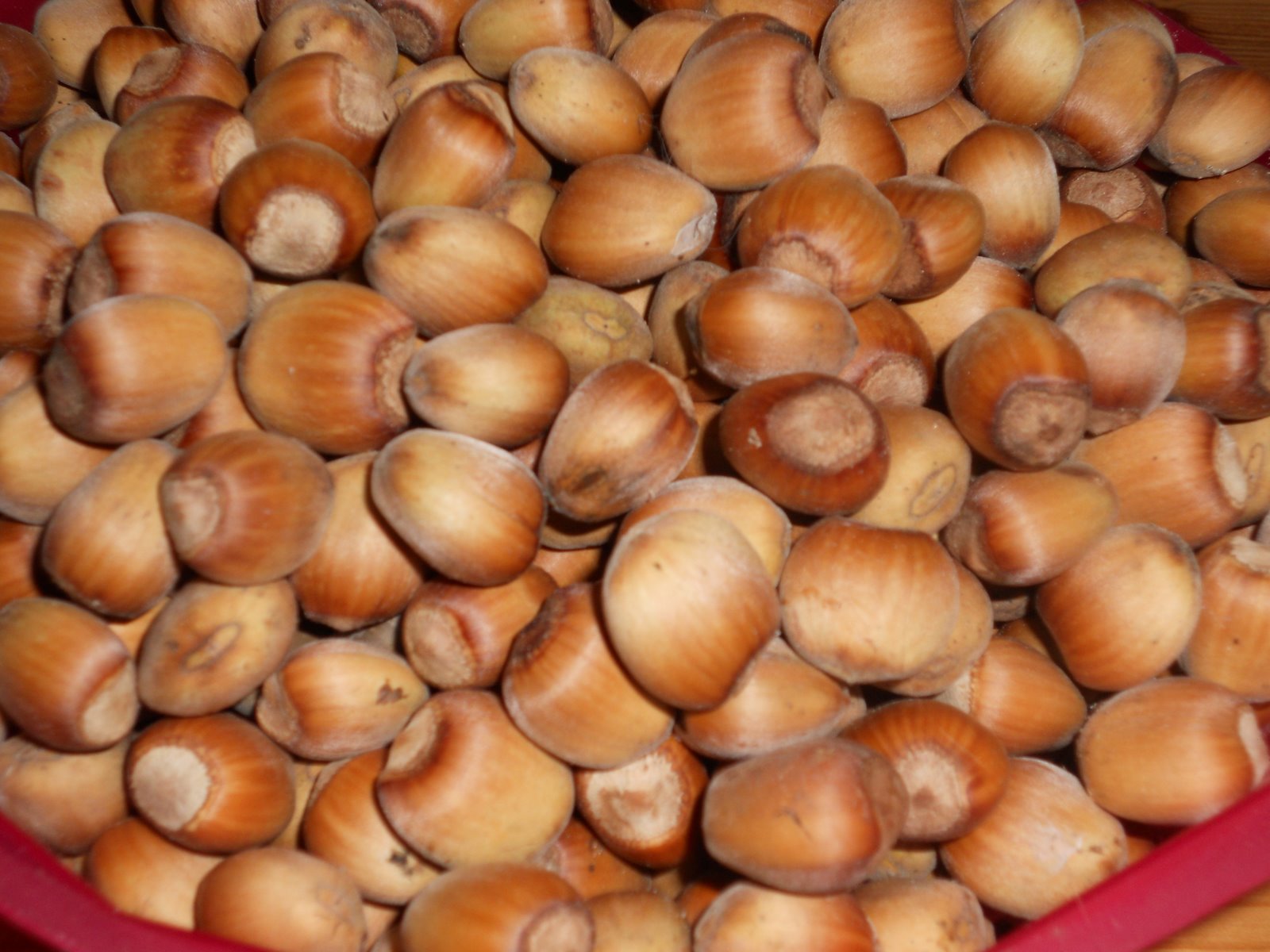 Nathalie's Foodblog: Hazelnoot-chocoladepasta