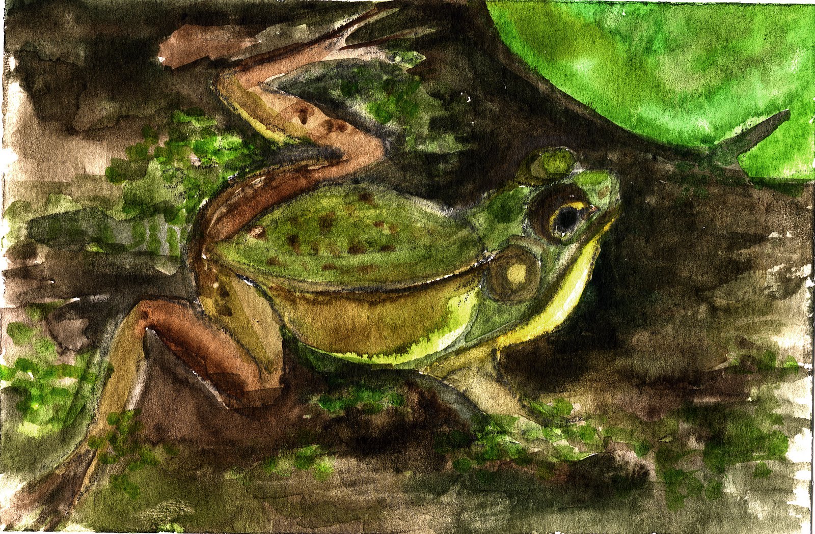 Frog Blog: A Game of Leap-tag