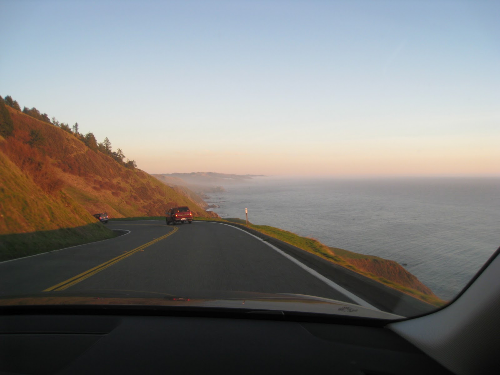 ALL THINGS FOOD: Mushroom Foraging @ Salt Point State Park