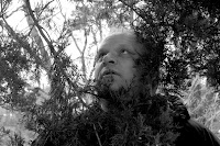 Scardefield Classics