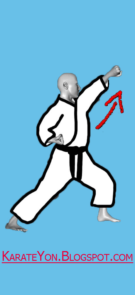 TECHNIQUES GOJU RYU|KarateYon