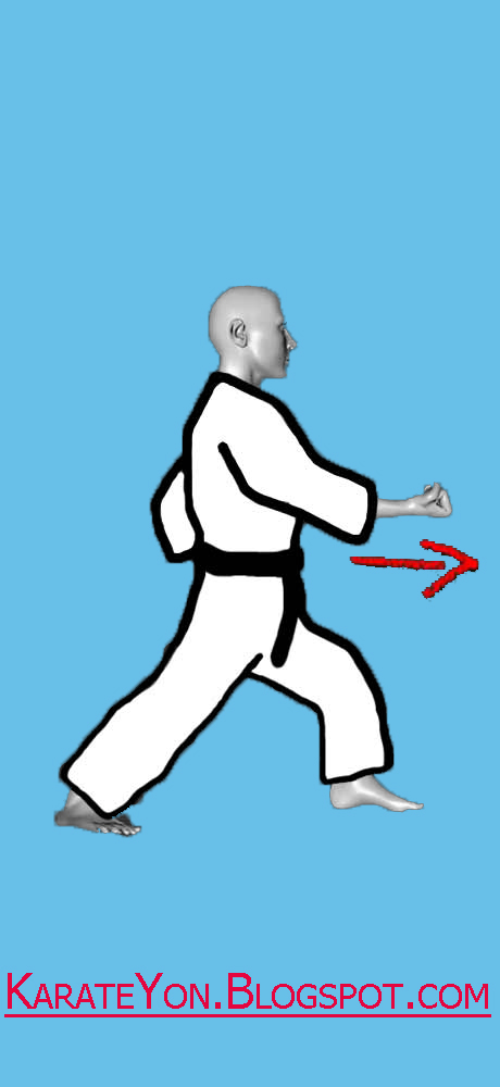 TECHNIQUES GOJU RYU|KarateYon