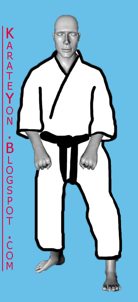 TECHNIQUES GOJU RYU|KarateYon