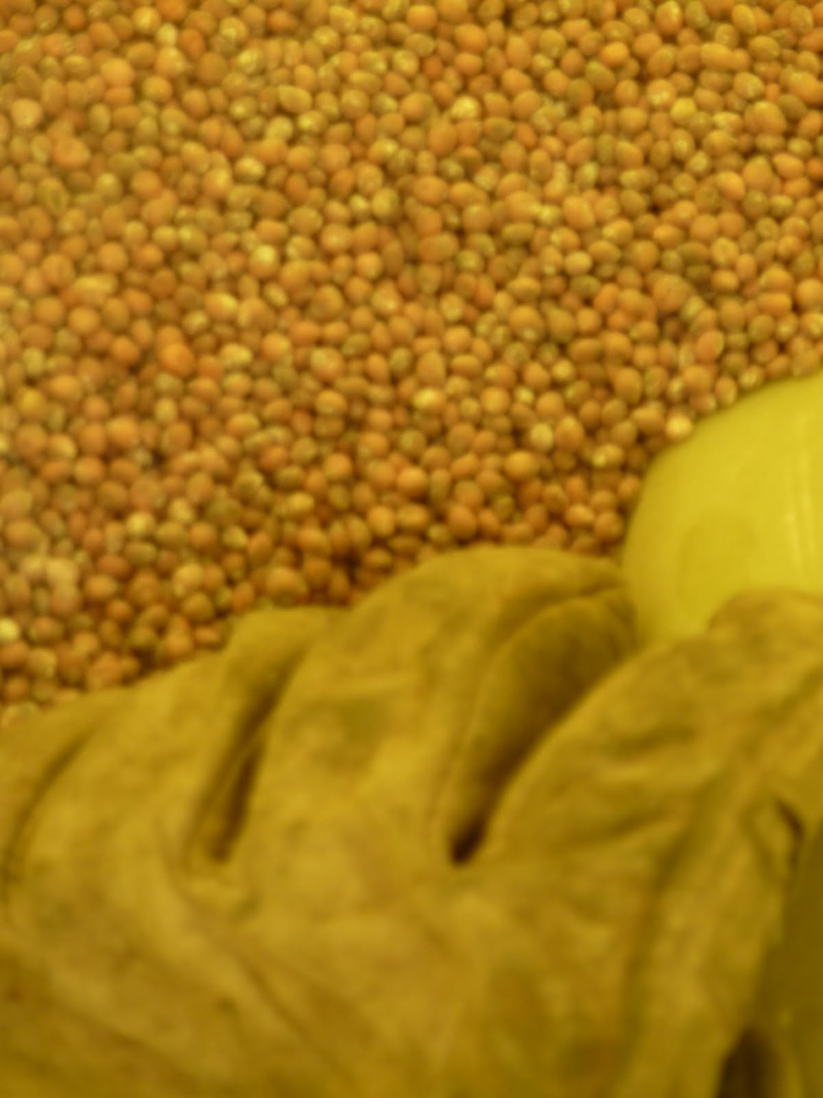 Our Acres of Blessings: Farm Friday - Planting Milo