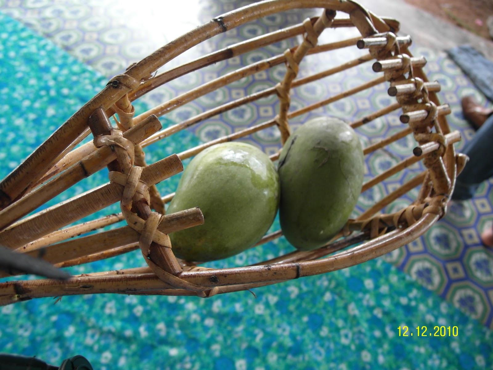 Delicious mango | THE DOTTED LINES