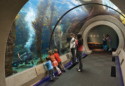 ETC Paradigm® system controls architectural and exhibit lighting at ...