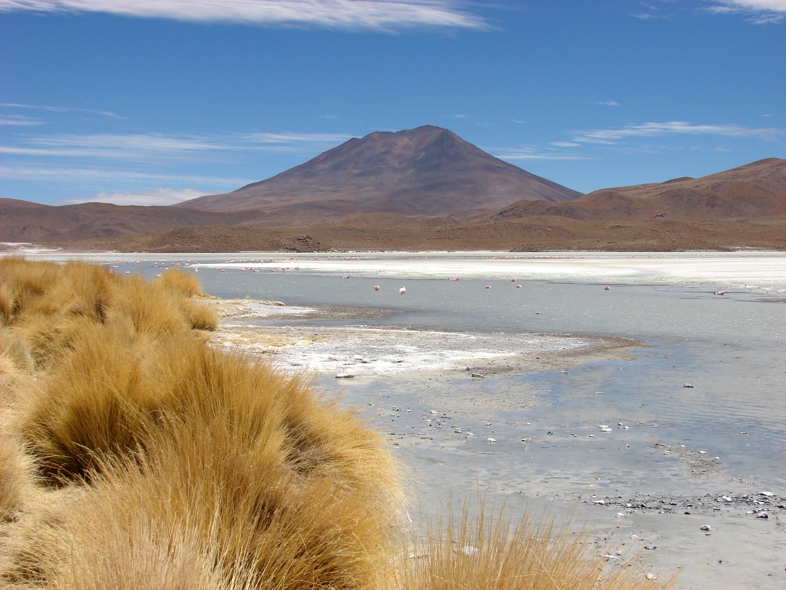 Viajando na Patagônia e América do Sul: Laguna Hedionda - Bolívia