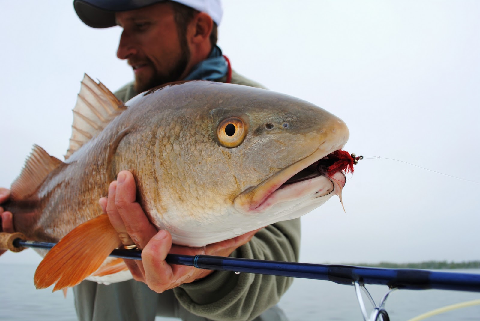 The Key West Flats Angler: Matlacha and Pine Island Fishing