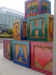 Journey To Success: Camp CHLA