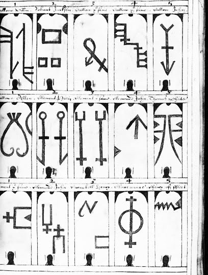 samueljmacon: SWAN MARKINGS