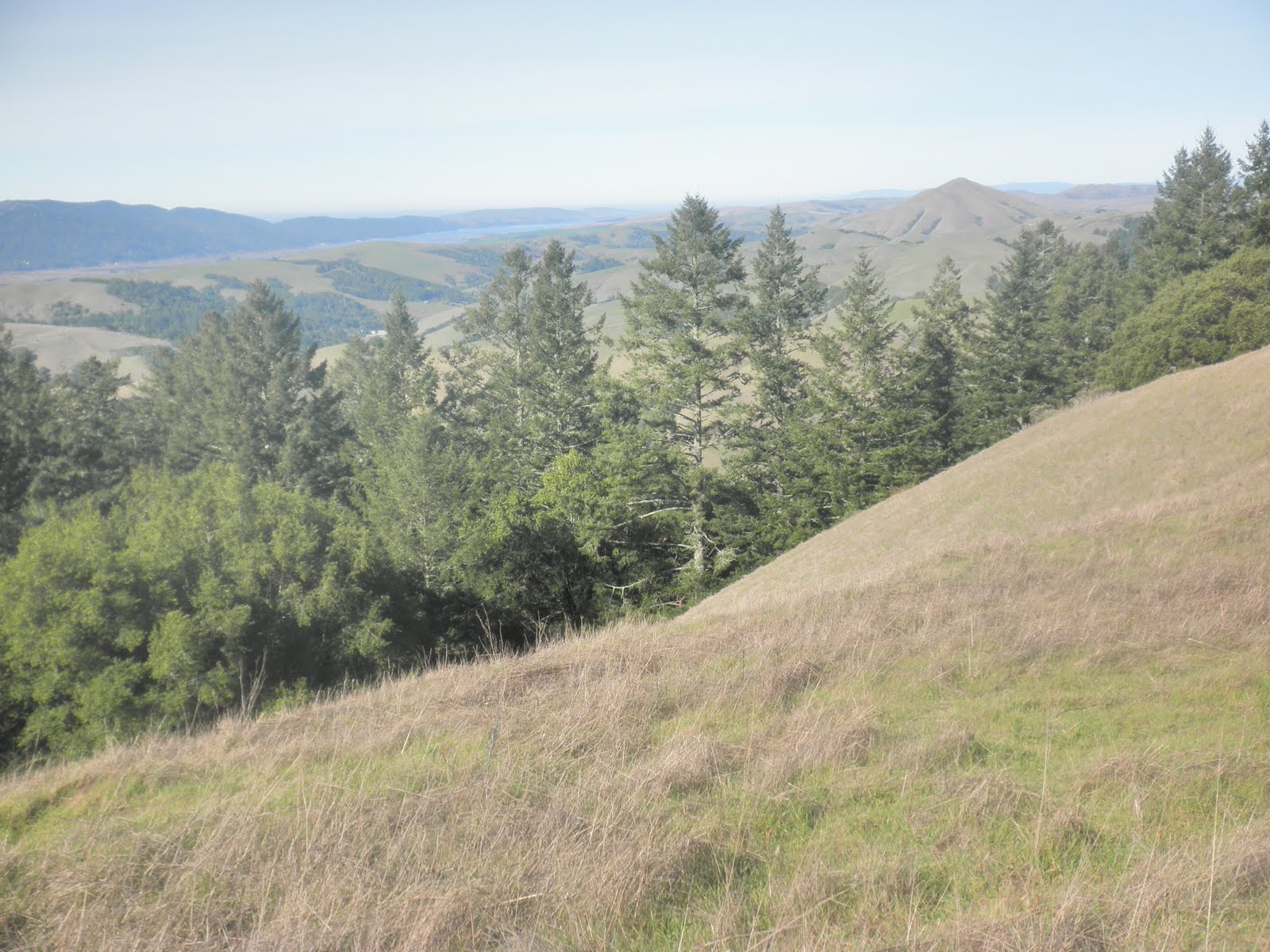 I'm Going Outside: Barnabe Peak, Jan 2011