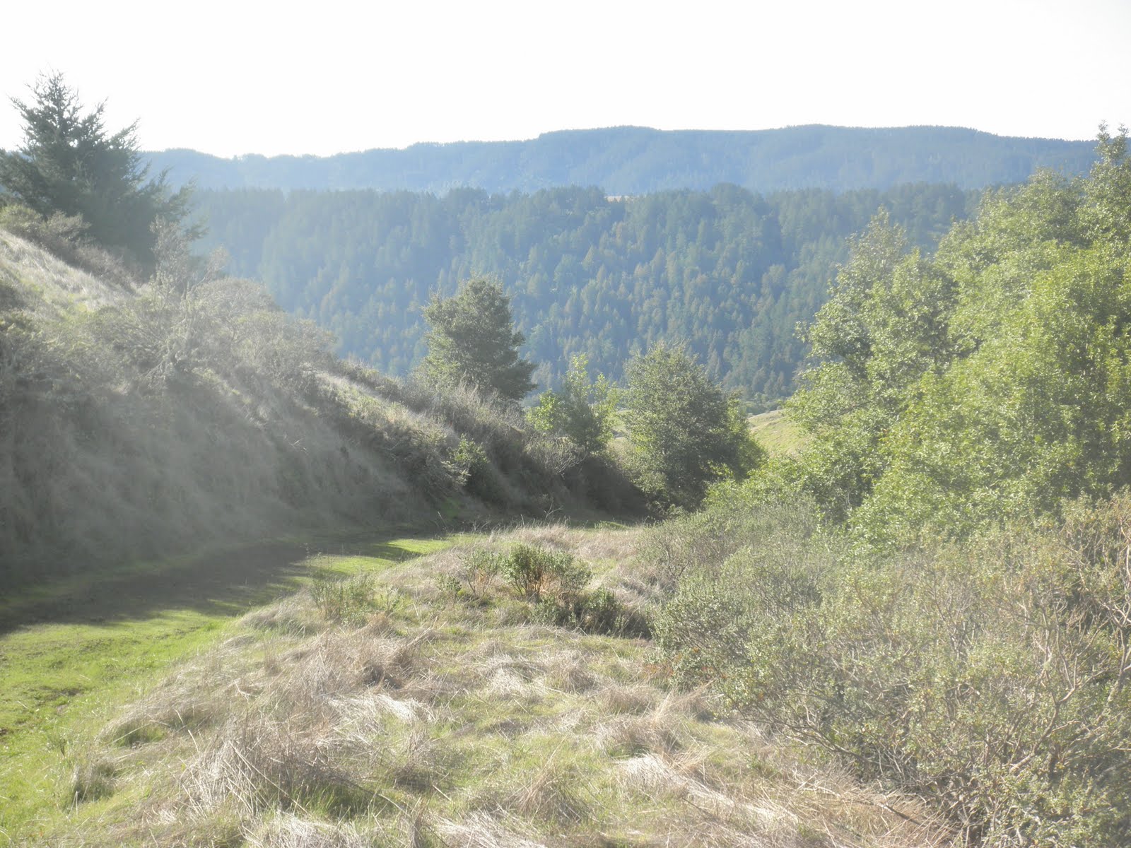 I'm Going Outside: Barnabe Peak, Jan 2011