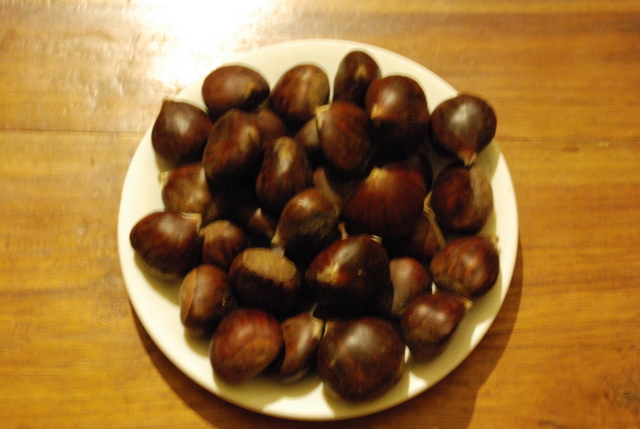 Jardineria Natural. Un Jardí per Menjar-se'l.: TEMPS DE CASTANYES. LA ...