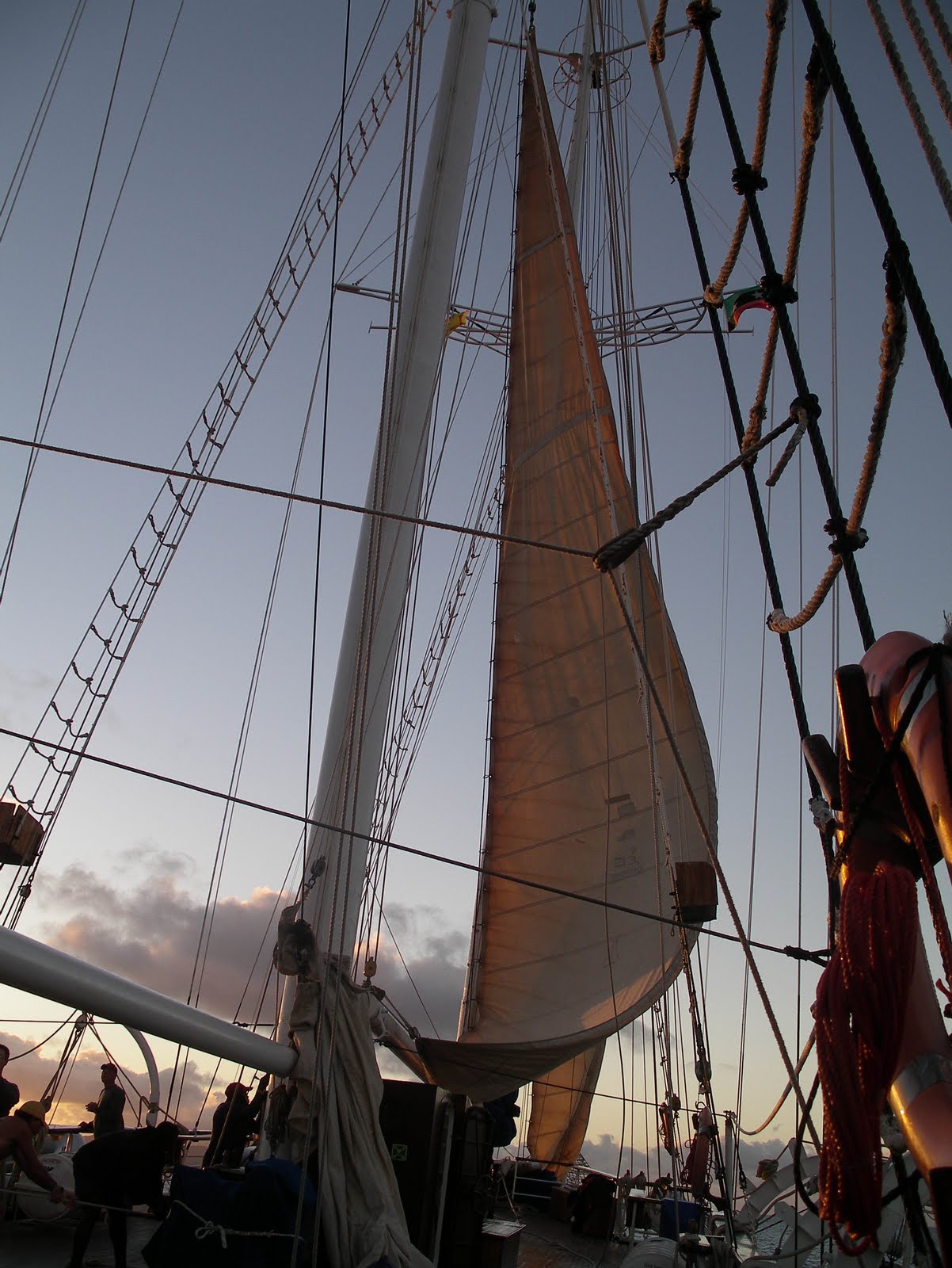 Still Life With Birder: Raising The Sails