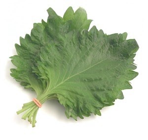 What Eye 8: Perilla, Shiso, Beefsteak Leaf, That Odd Lip-smacking Green ...