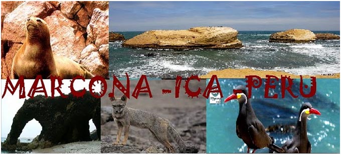 San Juan de Marcona: MARCONA