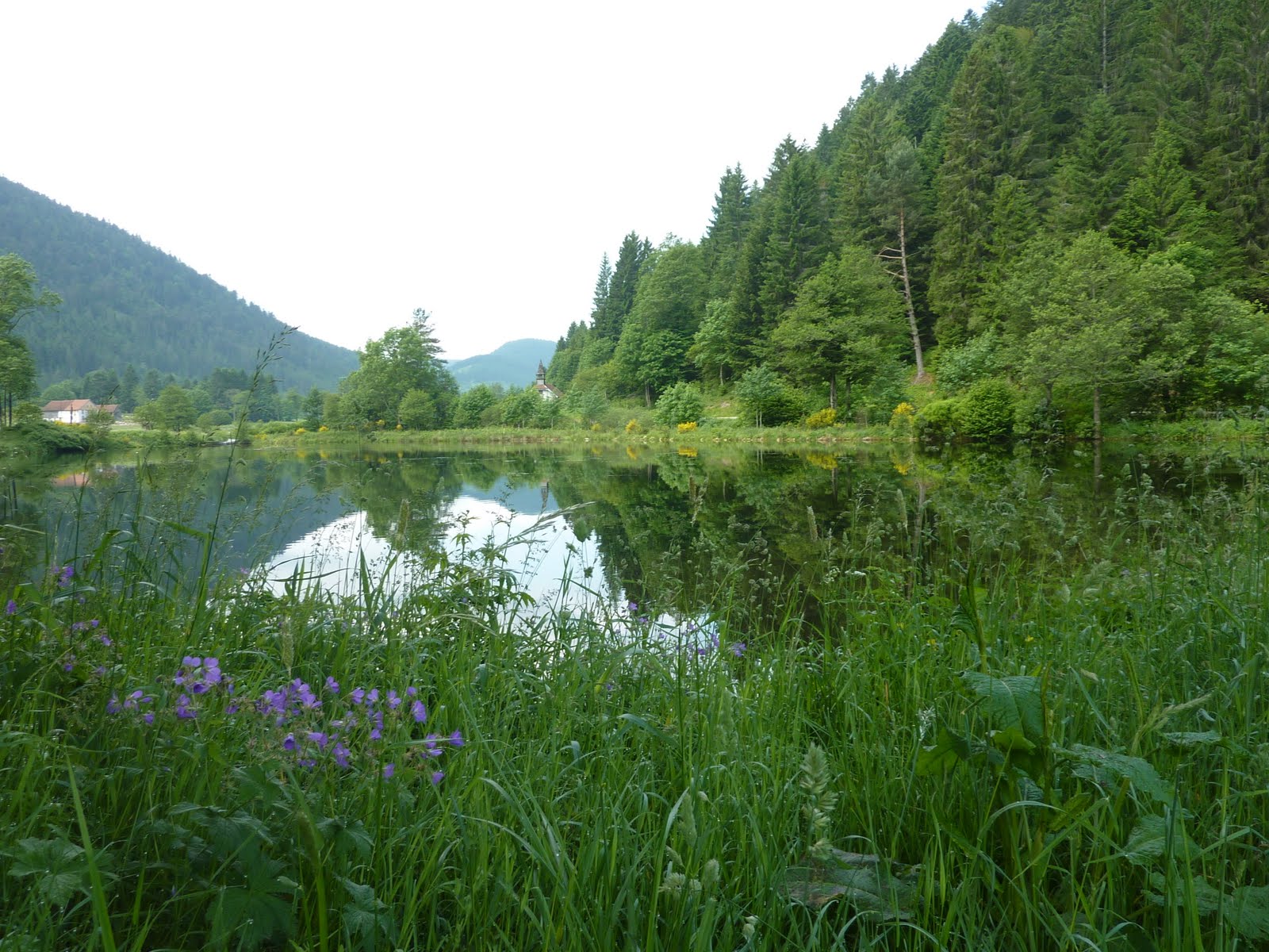 Le bonheur en marchant.: Le massif du Valtin.