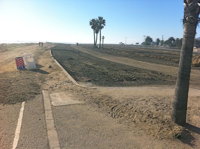 Ventura River Ecosystem: Surfers' Point Cobble Berm