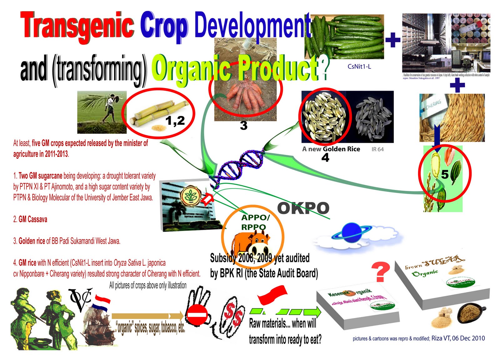 BioTani Indonesia: Transgenic crops Development and (possibility ...