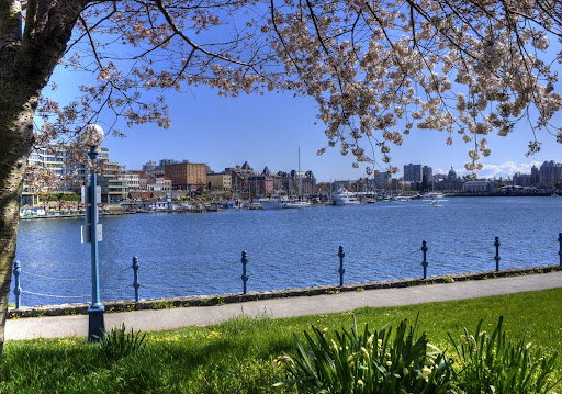 Victoria Daily Photo: April 2009