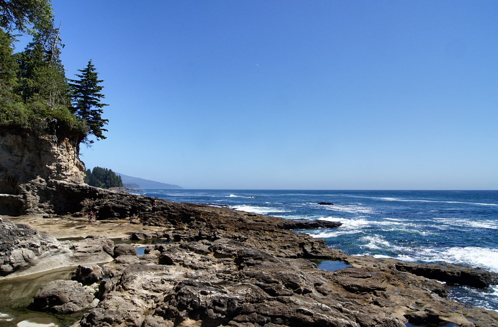 Victoria Daily Photo: The West Coast II - Botany Bay