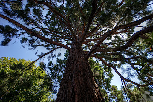 Victoria Daily Photo: September 2010