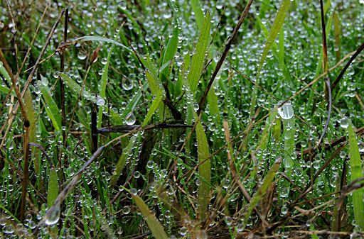 Victoria Daily Photo: September 2010