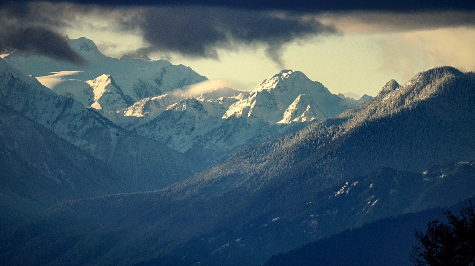 Victoria Daily Photo: Olympic Mountains