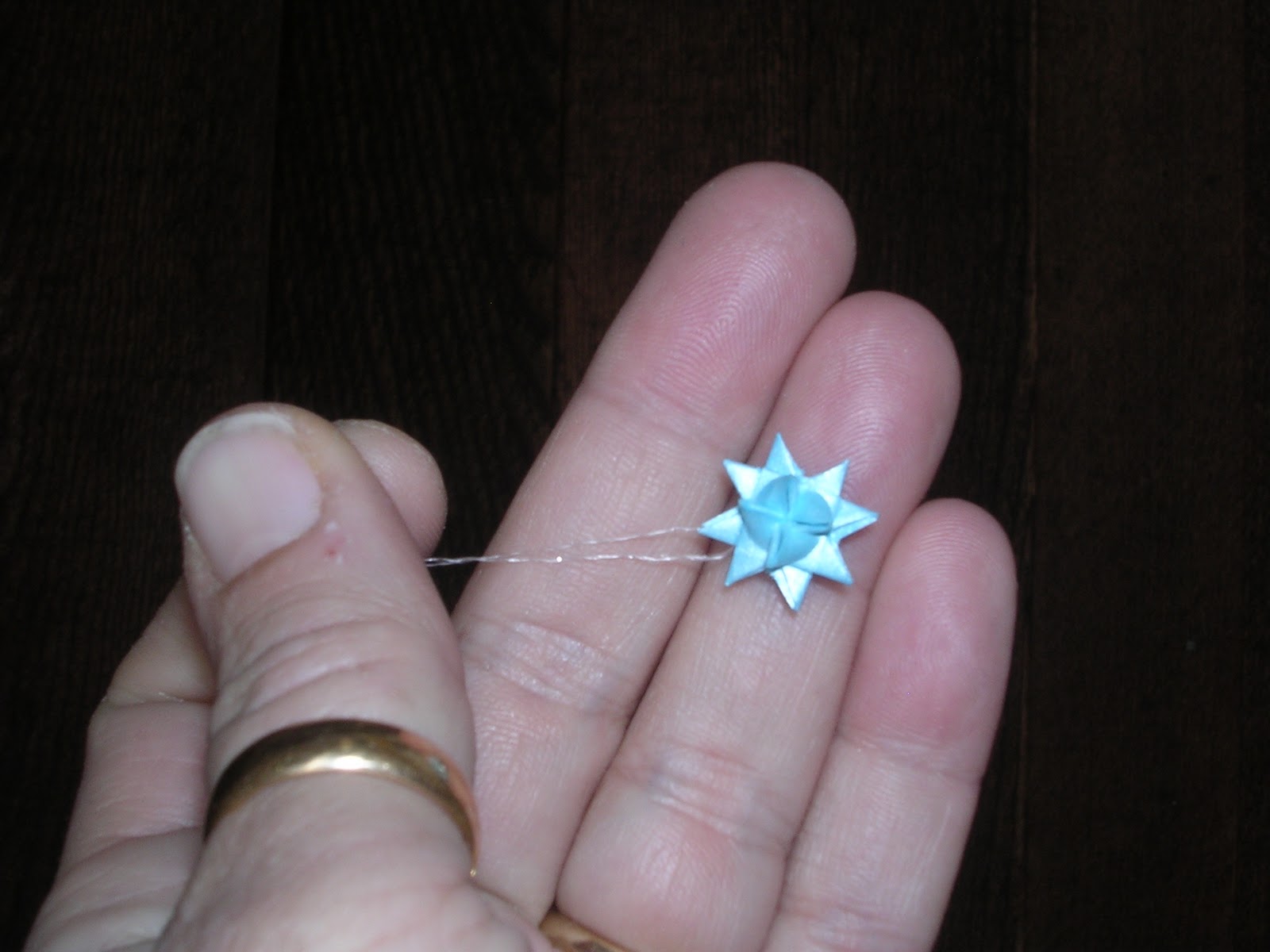 A Collective Journal: Wee things