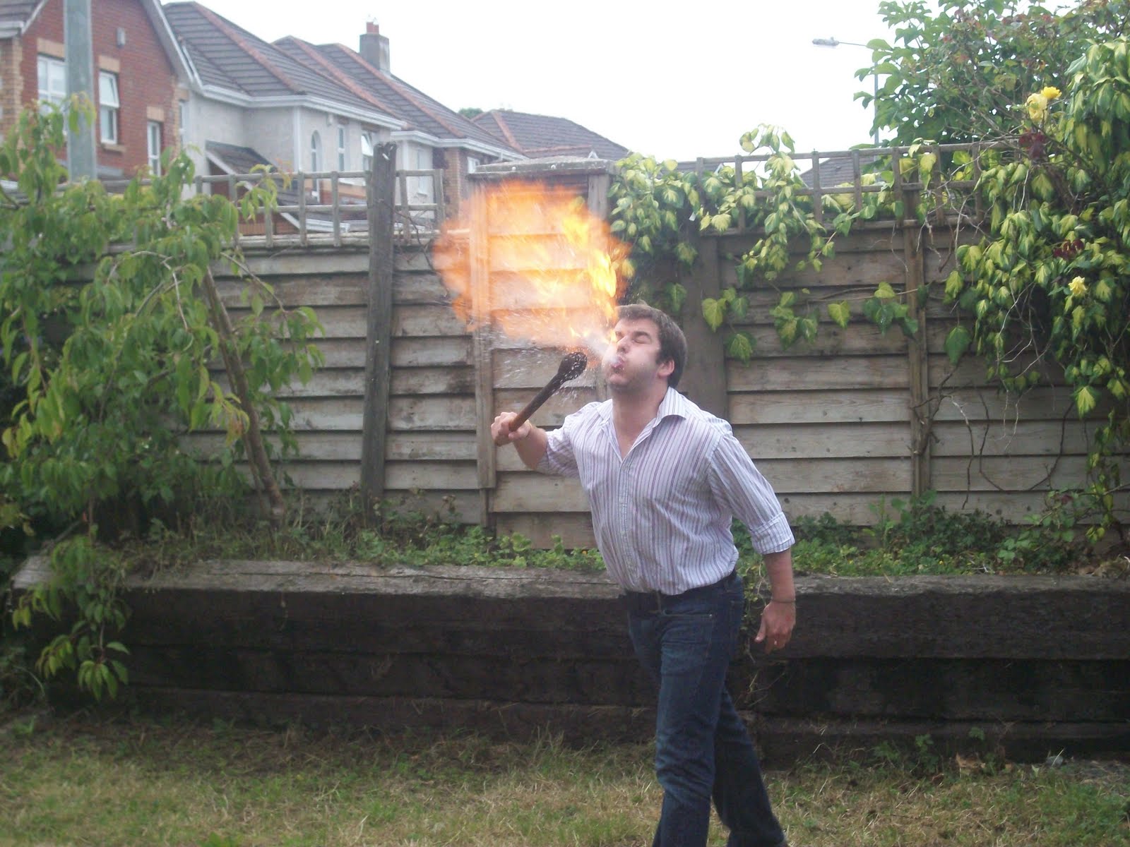 The Project 366 Things: Thing 81 Fire Breathing